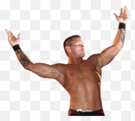 Randy Orton Rko Png - Rko Cartoon 122713 Vippng Cartoon Rko,Randy Orton ...
