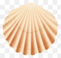 Seashell Png Clipart - Beach Shell Cartoon Png,Sea Shell Png - free ...
