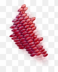 Transparent Scales Fish - Short Sleeve Png,Fish Scales Png - free ...