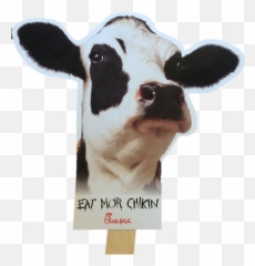Flying Cow Png Transparent - free transparent png images - pngaaa.com