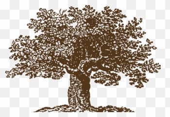 Gamecube - The Legend Of Zelda The Wind Waker Tree The Legend Of Zelda ...