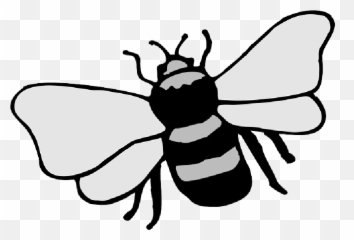 Bee Adventure Time Wiki Fandom - Bee From The Adventure Time Png ...