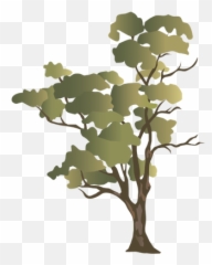 Small Tree Png - Small Tree Symbol Png,Tree Symbol Png - free ...