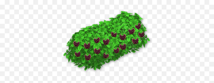 Berries Clipart Blackberry Transparent - Blackberry Bush Clipart Png ...