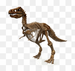 Raptor - Raptor Dinosaur Png Full Size Png Download Seekpng ...