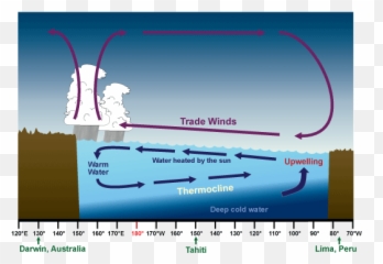 Wind Speed Units U0026 Directions - Windfinder Circle Png,Wind Effect ...
