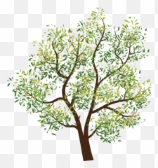 Team Trees - Wikipedia Team Trees Png,Trees Background Png - free ...