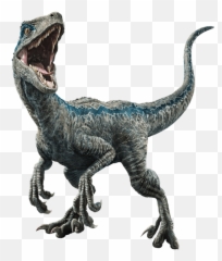 Raptor - Raptor Dinosaur Png Full Size Png Download Seekpng ...