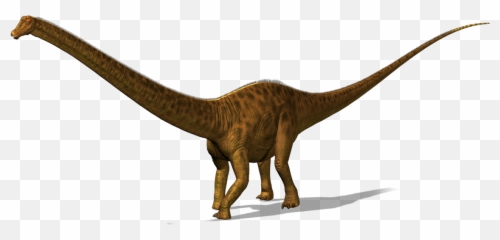 Raptor - Raptor Dinosaur Png Full Size Png Download Seekpng ...
