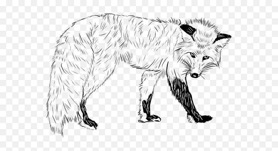 Red Fox Clipart Free Download Creazilla Png - free transparent png ...