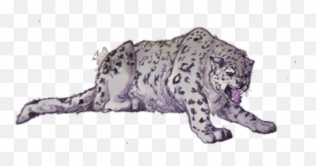 Snow Leopard Fedora Roblox Wikia Fandom - Snow Leopard Fedora Roblox ...
