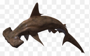 Paleozoic Pals Buzzsaw Shark Plush - Tiktaalik Plsuh Png,Shark Icon ...