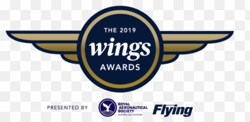 Dallas Wings - Dallas Wings Logo Png,Wings Logo - free transparent png ...