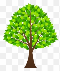 Team Trees - Wikipedia Team Trees Png,Trees Background Png - free ...
