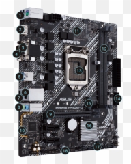 Blue Du0027hide Body - Osrs Wiki Png,D&d Icon - free transparent png ...