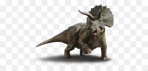 Raptor - Raptor Dinosaur Png Full Size Png Download Seekpng ...