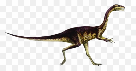 Raptor - Raptor Dinosaur Png Full Size Png Download Seekpng ...