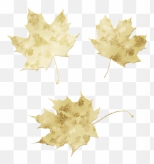 Gold Leaf - Gold Leaf Osrs Png,Gold Leaves Png - free transparent png ...