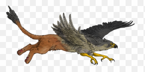 Png Transparent Griffin - Coat Of Arms,Griffin Png - free transparent ...