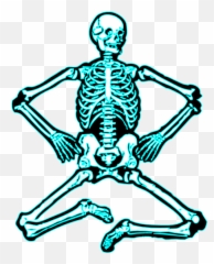 Skeleton Transparent Gif 2 Images - Skeleton Gif No Background Png ...