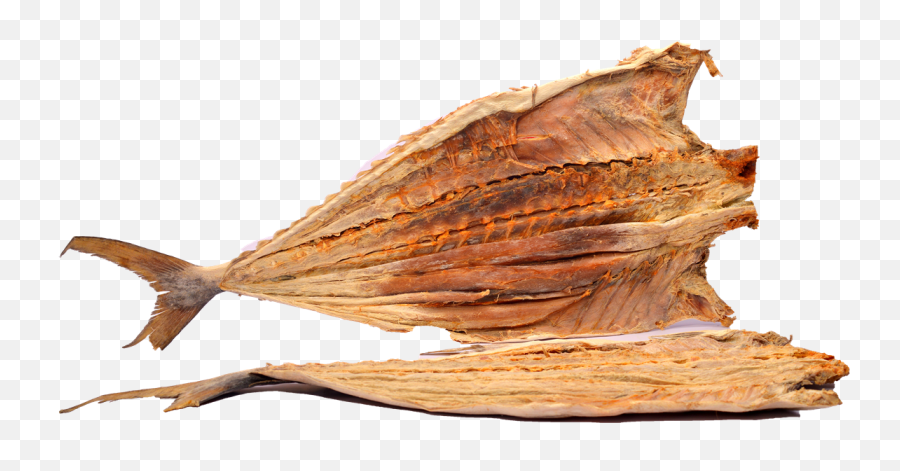 Download Sometimes It Is Noticed That - Katta Dry Fish Png,Fish Png ...
