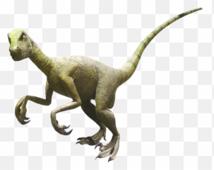 Raptor - Raptor Dinosaur Png Full Size Png Download Seekpng ...