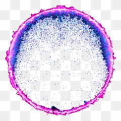 Interactive Brokers Client Portal - Interactive Brokers Client Portal ...