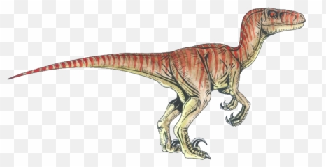 Raptor - Raptor Dinosaur Png Full Size Png Download Seekpng ...