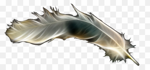 Transparent Yellow Feather Png - Bird Gold Feather Png,Feather ...