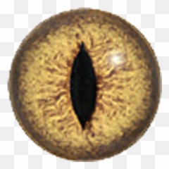 Snake Eyes - Clip Art Snake Eyes Png,Snake Eye Png - free transparent ...