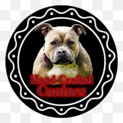 Home - Self Made Bullyz Png,American Bully Logo - free transparent png images - pngaaa.com