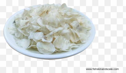 Transparent Scales Fish - Short Sleeve Png,Fish Scales Png - free ...