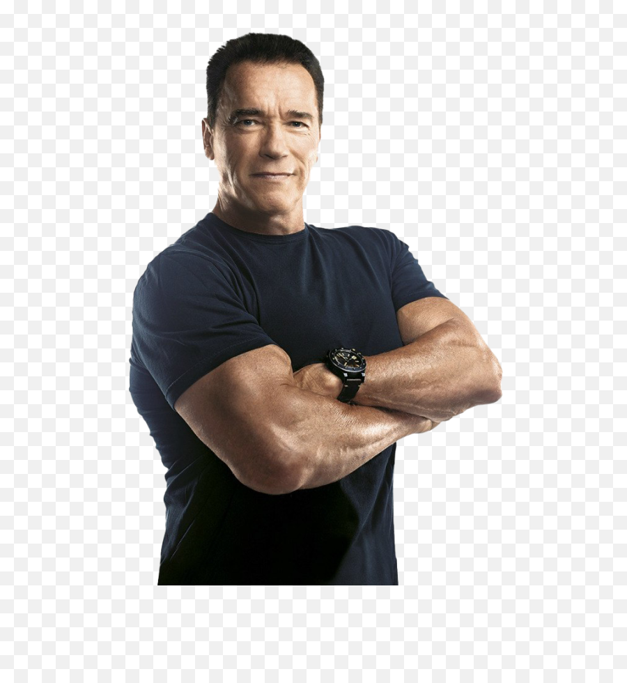 Arnold Schwarzenegger Face Transparent U0026 Png Clipart Free - Arnold ...