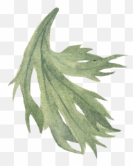 Available In Svg Png Eps Ai Icon Fonts - Discord Leaf Emoji,Leaf Icon ...