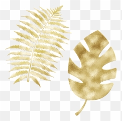 Gold Leaf - Gold Leaf Osrs Png,Gold Leaves Png - free transparent png ...