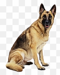 Group Of Dogs Png 5 Image - Transparent Dog Group Png,Dog With ...