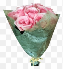 Hot Pink Roses - Hot Pink Rose Transparent Png,Pink Rose Transparent ...