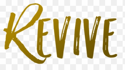 Revives - Pokemon Max Revive Png,Revive Png - free transparent png ...