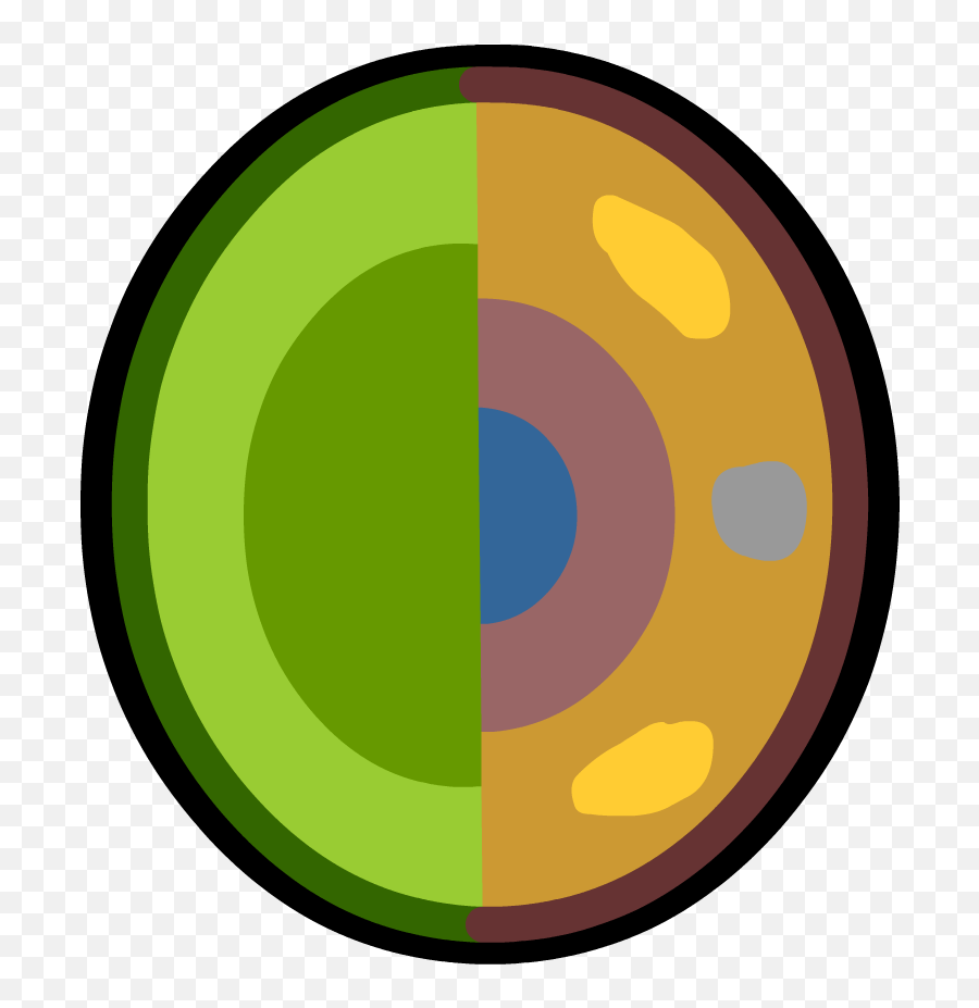 Cell Specialization Brainpop Cell Specialization Clipart Png Green