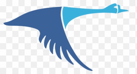 Outcome Of Athena Swan Institutional Submission Ucl News - Athena Swan ...