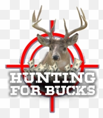 Waterloo Bucks - Waterloo Bucks Baseball Logo Png,Bucks Logo Png - free ...