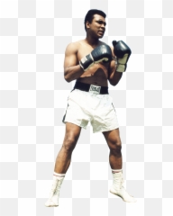 Library Of Broken Leg Cast Picture - Broken Leg Png,Leg Transparent ...