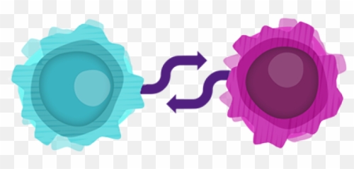 Free transparent cell png images, page 1 - pngaaa.com