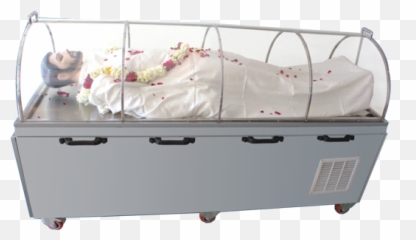 Download Dead Body - Foldy Dead Bfdi Full Size Png Image Bfdi Dead,Dead ...