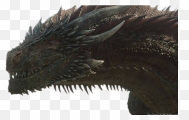 Regal Dragon Dragonvale Wiki Fandom - Regal Dragon From Dragonvale Png ...