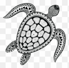 Turtle Icon - Snapping Turtle Clip Art Png,Turtle Png - free ...