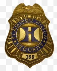 Federal Flight Deck Officer Badge - Department Of Homeland Security Png ...