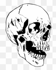 Skull - Traceable Heraldic Art Heraldic Skull Png,Skull Head Png - free ...