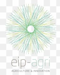 Epa Logo - Epa Logo White Png,Epa Logo Png - free transparent png ...