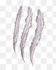 Download Scorch Mark Png - Transparent Png Png Images Illustration,Claw ...